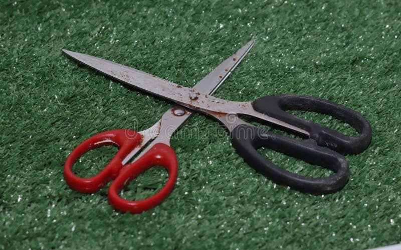 Sharp scissors on grass stock photo. Image of modern - 277127664