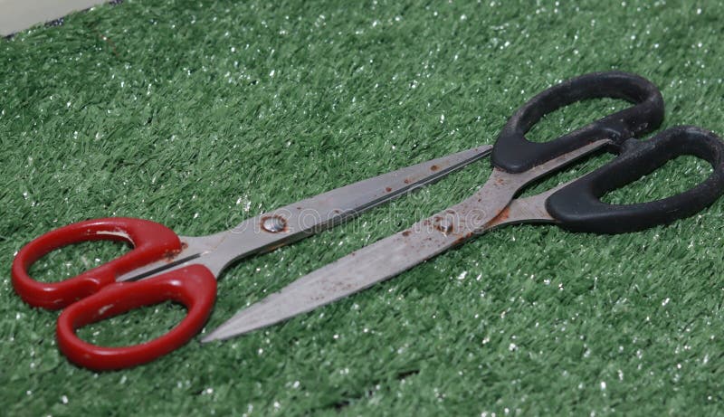 Sharp scissors on grass stock photo. Image of hairdresser - 277127980