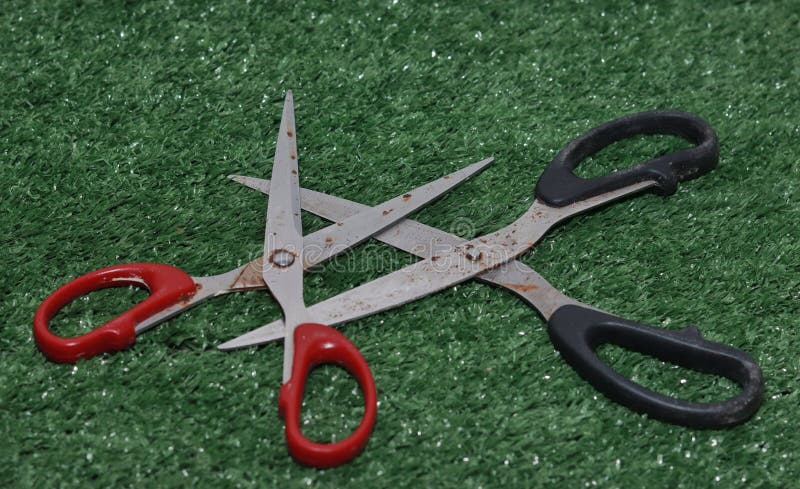 Sharp scissors on grass stock image. Image of accessories - 277128283