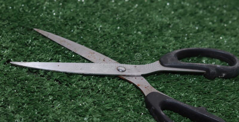 Sharp scissors on grass stock image. Image of metric - 277128349