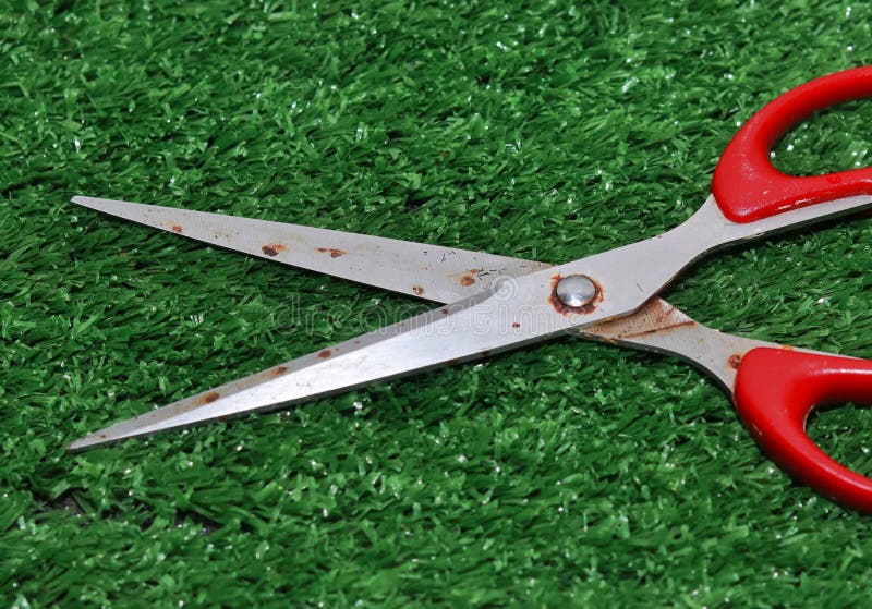 Sharp scissors on grass stock image. Image of minimalist - 277128829