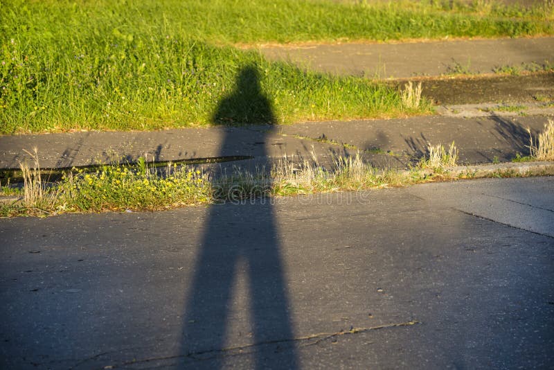 Sharp Shadow of the Photographer Early Morning Stock Photo - Image of ...