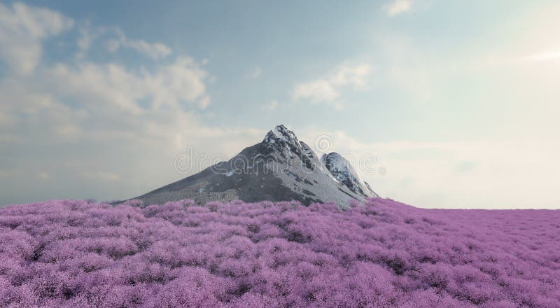 The Sharp-shaped Mountain is Surrounded by a Dense Pink Forest of Lush ...