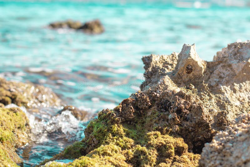 Sharp Shore Rocks on the Adriatic Sea Stock Image - Image of rocks ...