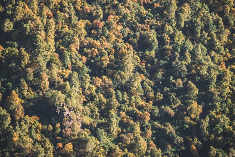 The Sharp Slope of the Mountain Overgrown with Trees and Shrubs of ...
