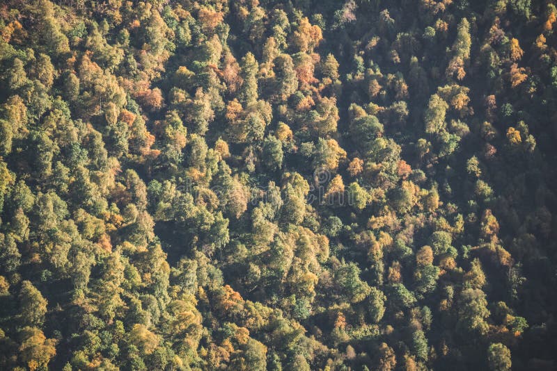 The Sharp Slope of the Mountain Overgrown with Trees and Shrubs of ...