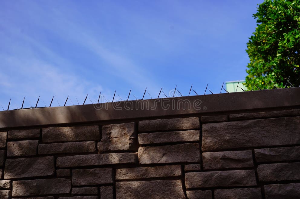 Sharp Spike on the Wall To Prevent Illegal Enter Stock Image - Image of ...