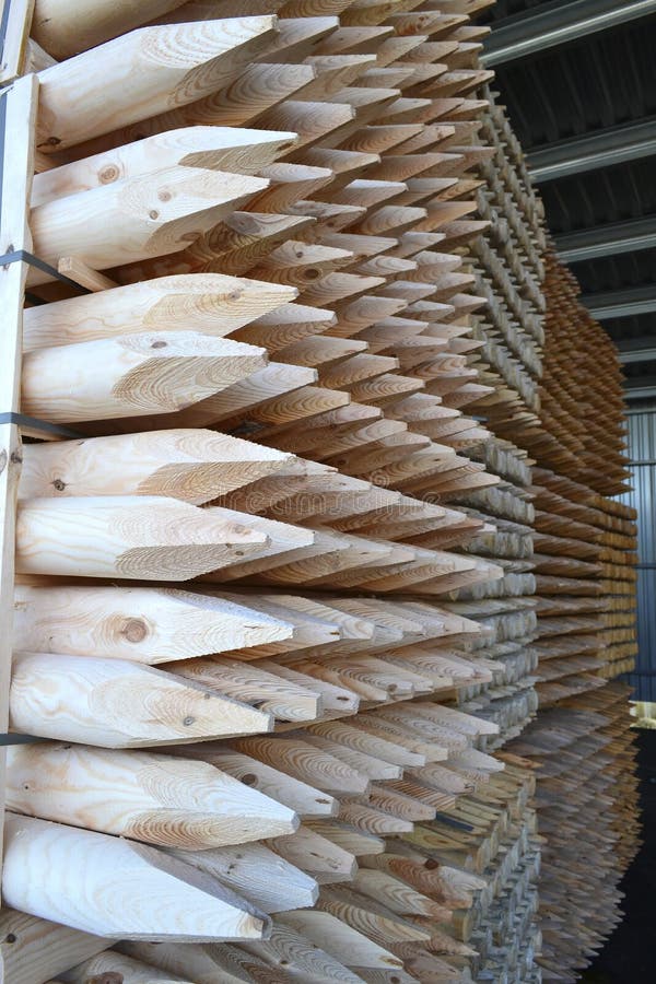 Sharp Stakes in Stock Lumber Stock Image - Image of number, sawmill ...