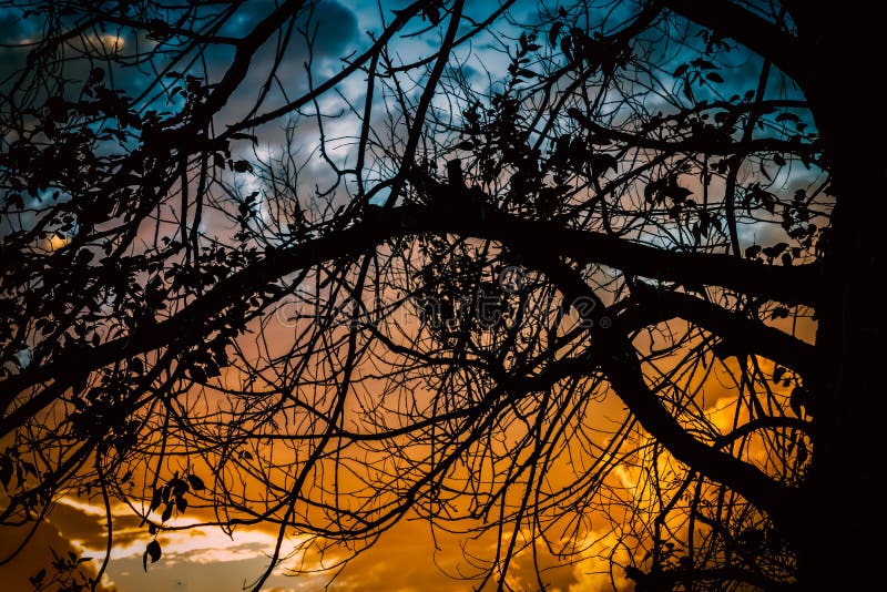 Sharp Sunset stock image. Image of black, beauty, light - 260081031