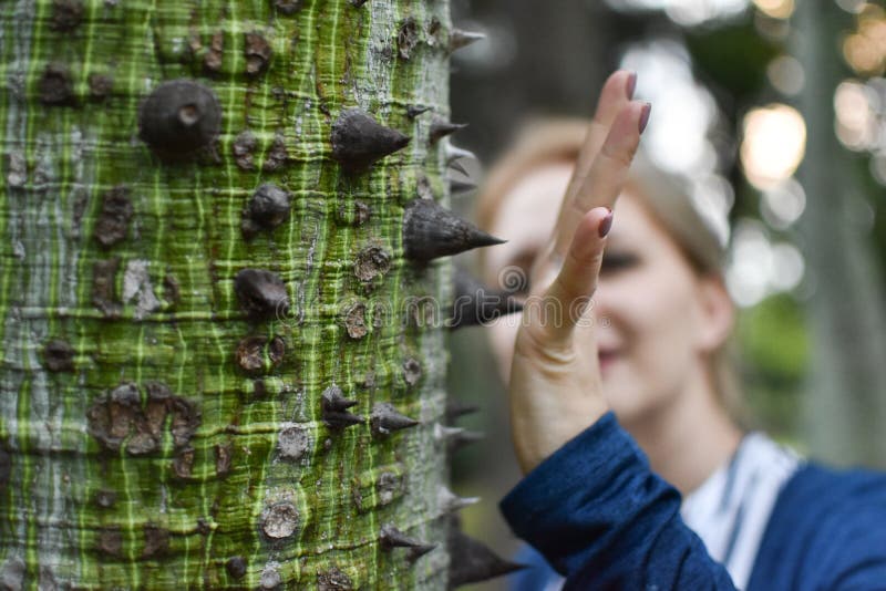 Sharp Thorns on the Tree. Piercing the Hand with a Plant. Sharp Pain in ...