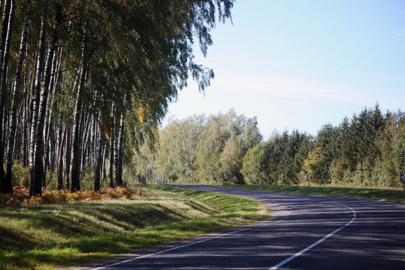A Sharp Turn, a Beautiful Country Road without Transport Stock Image ...
