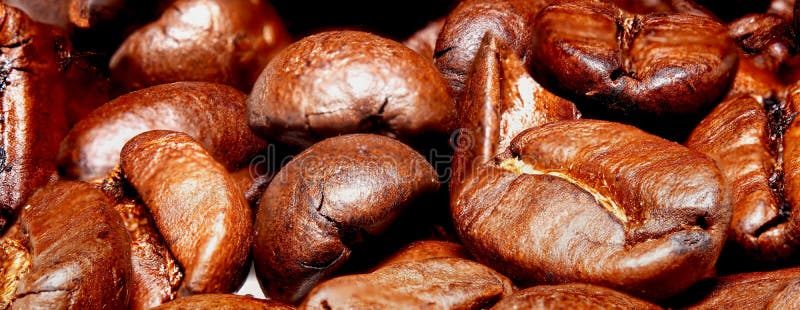 Sharp Ultra Macro of Coffee Beans in Detail, Processed with Focus ...