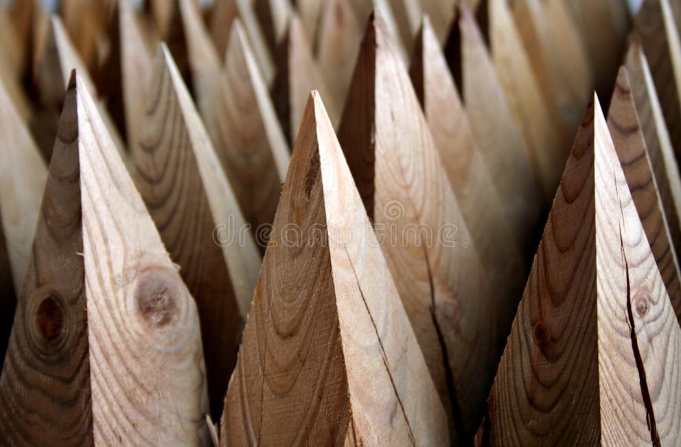 Sharp wooden posts in rows stock photo. Image of spear - 1231080