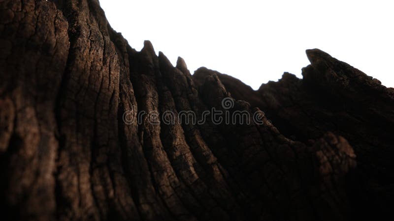 Sharp Wooden Ridges Against Clean White Background in Studio Light ...