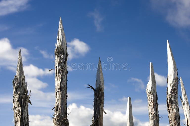 Sharp Wooden Spikes stock photo. Image of picket, rough - 9368962