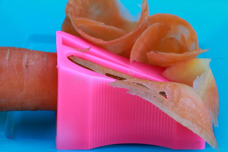 Sharpening Tip To a Carrot with a Pencil Sharpener Stock Photo - Image ...