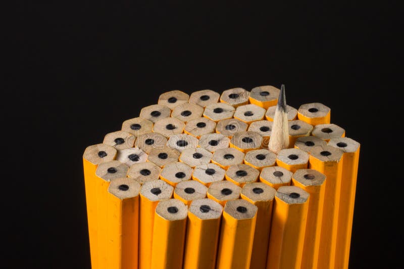 Sharpest one of the bunch stock photo. Image of implement - 28070604