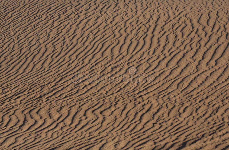 Sharply Contrasting Patterns of Sand Waves with Light and Shadow Across ...