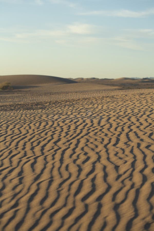 Sharply Contrasting Patterns of Sand Waves with Light and Shadow Across ...