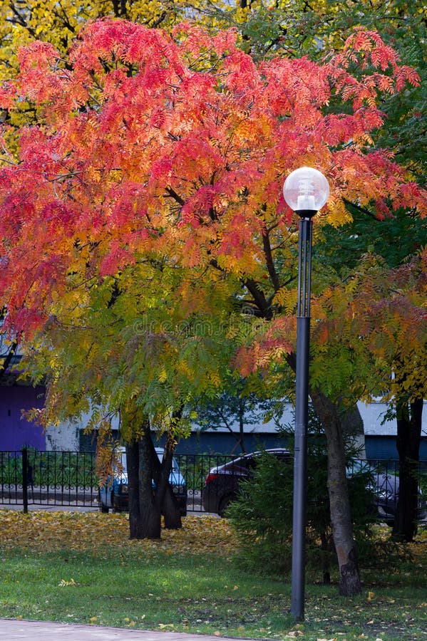 The Sharpness of the Pictures on the Street Lights. Texture, Pat Stock ...