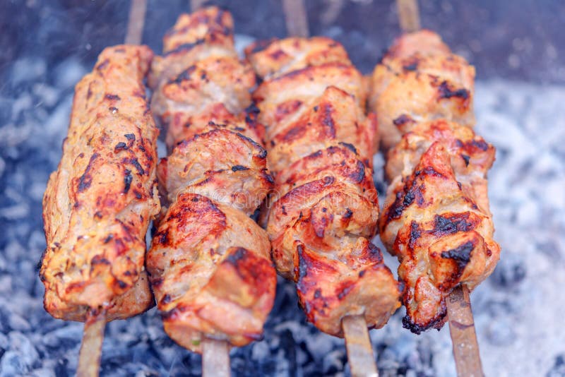 Fried shashlick on nature stock image. Image of shashlick - 15629945