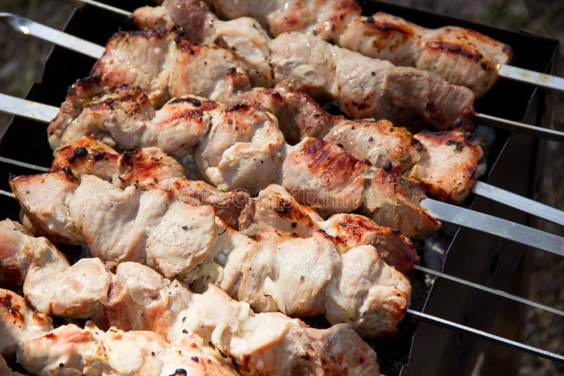 Shashlik stock photo. Image of palatable, close, roast - 25781552