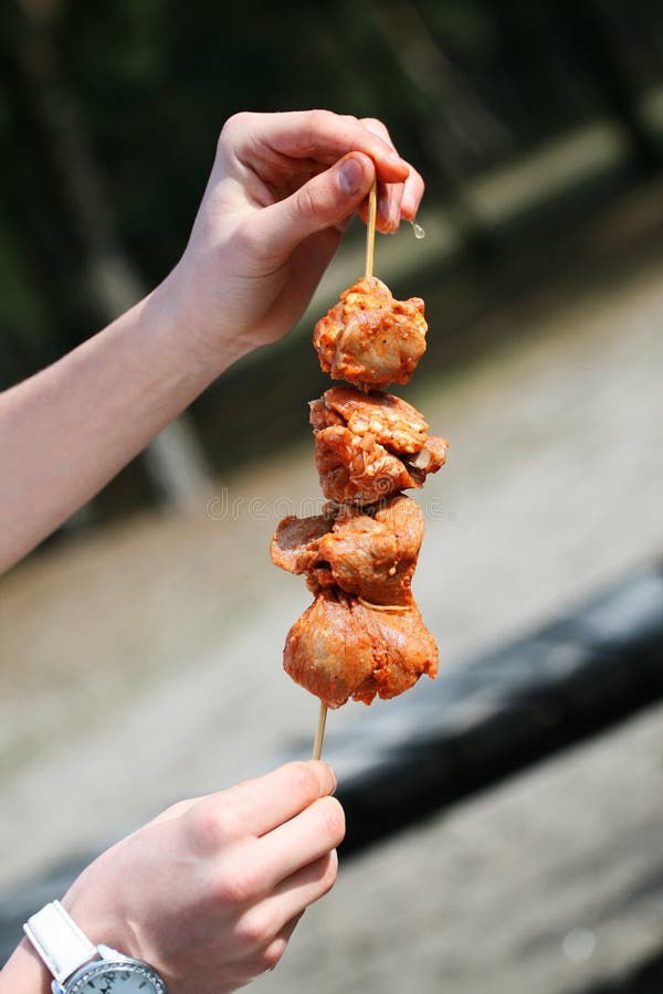 Shashlik stock image. Image of meal, meat, close, gourmet - 4854569