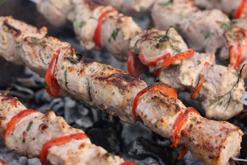 Shashlik stock image. Image of heat, spit, smoke, fire - 6161755