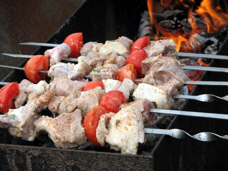 Shashlyk stock image. Image of outdoor, kebab, meal, season - 9851601