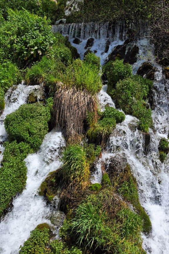 Royalty Free Stock Photos and Images