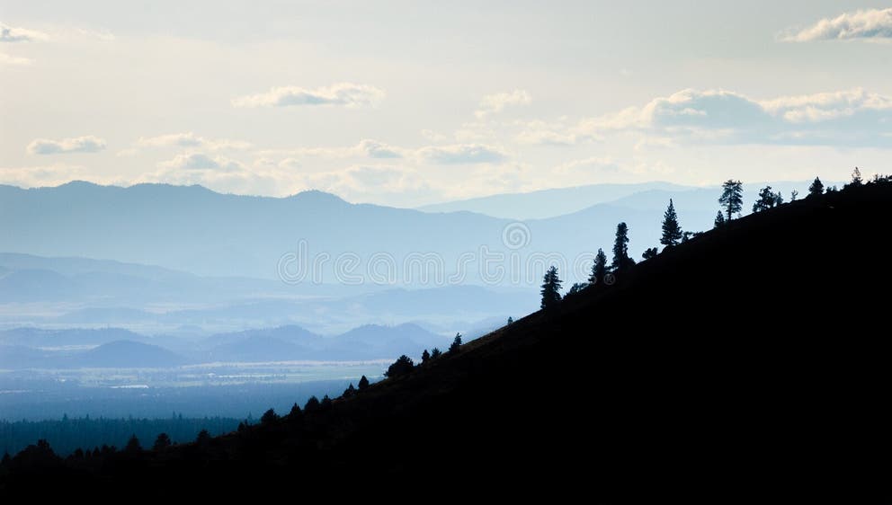 Shasta-Trinity National Forest Stock Image - Image of modoc, back: 61131305