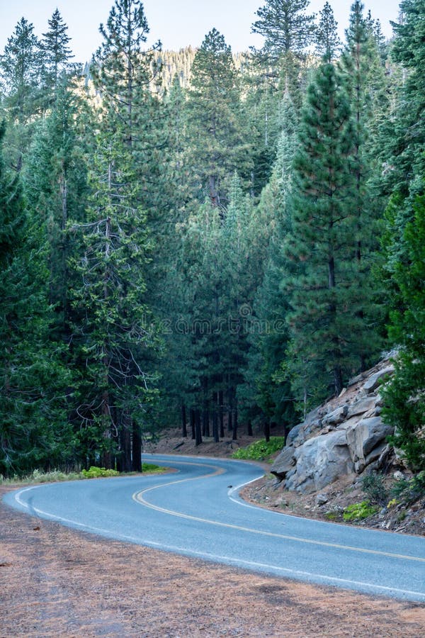 Shasta-Trinity National Forest and Landscapes Stock Photo - Image of ...