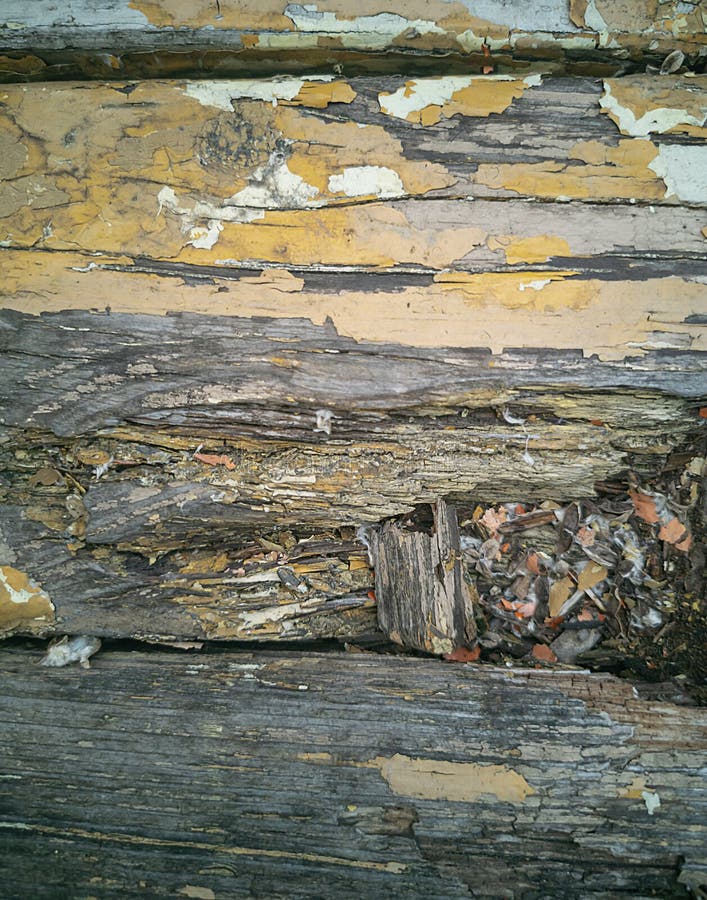 Shattered Boards at an Abandoned Mine Camp Stock Photo - Image of ...