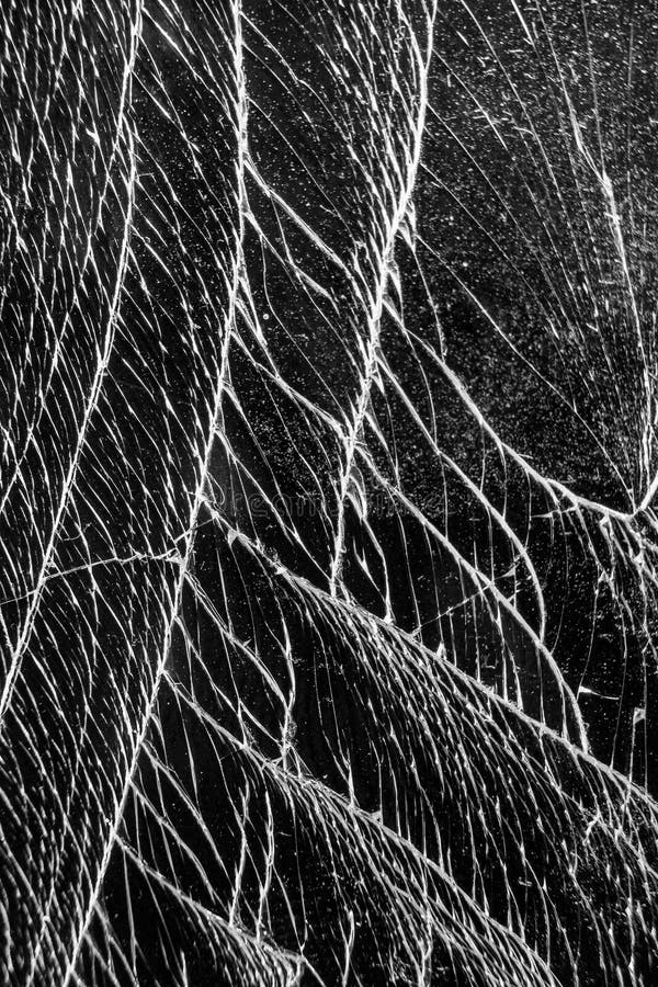 Shattered Cell Phone Screen Protector Glass Cracks Pattern Stock Photo ...