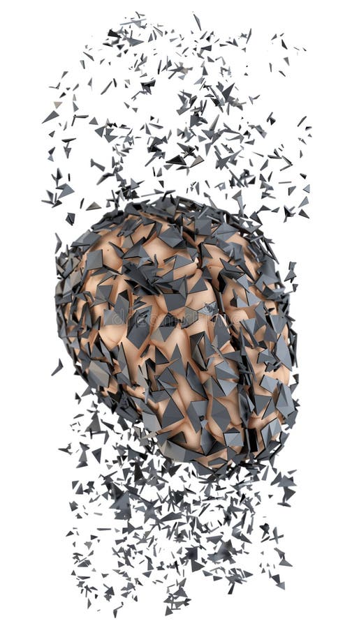 Shattered Human Brain. Stress Concept. Isolated Stock Illustration ...