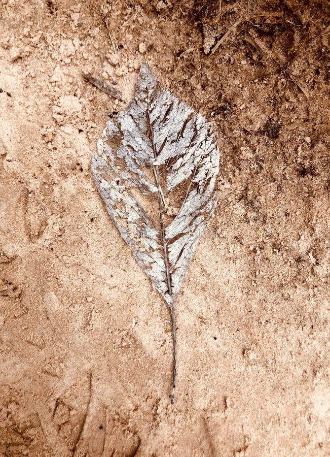 Shattered life stock photo. Image of utah, canyon, floor - 147549962