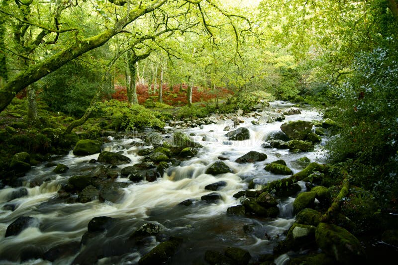 Shaugh Prior ,dartmoor National Park Devon Stock Image - Image of ...