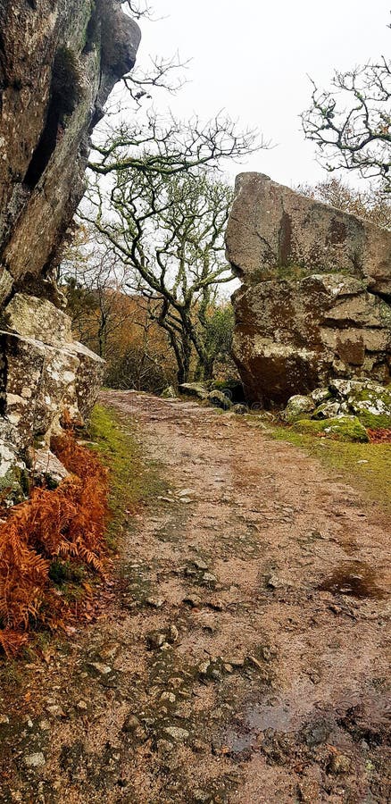 Shaugh Prior River Plym on Dartmoor National Park Devon Stock Image ...