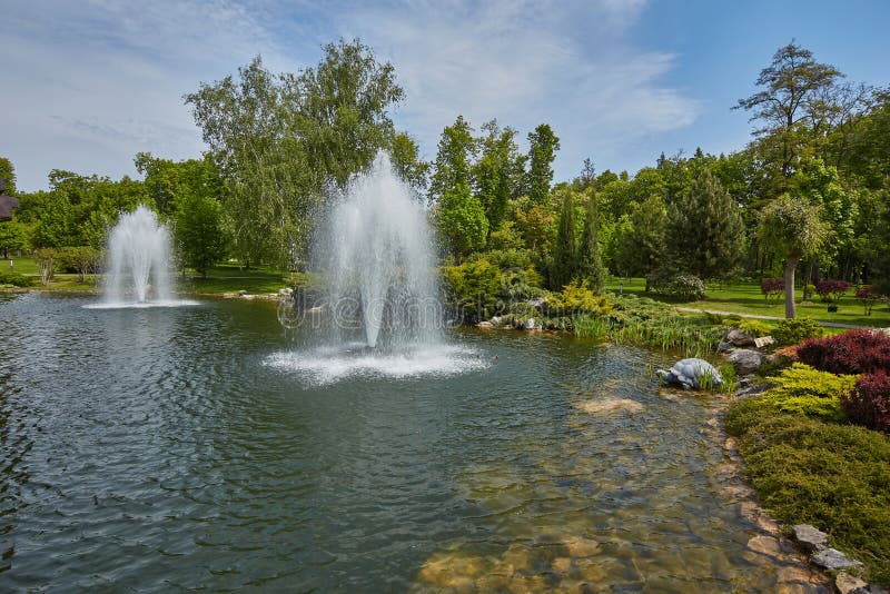 Shaved Bush Stock Photos - Free & Royalty-Free Stock Photos from Dreamstime