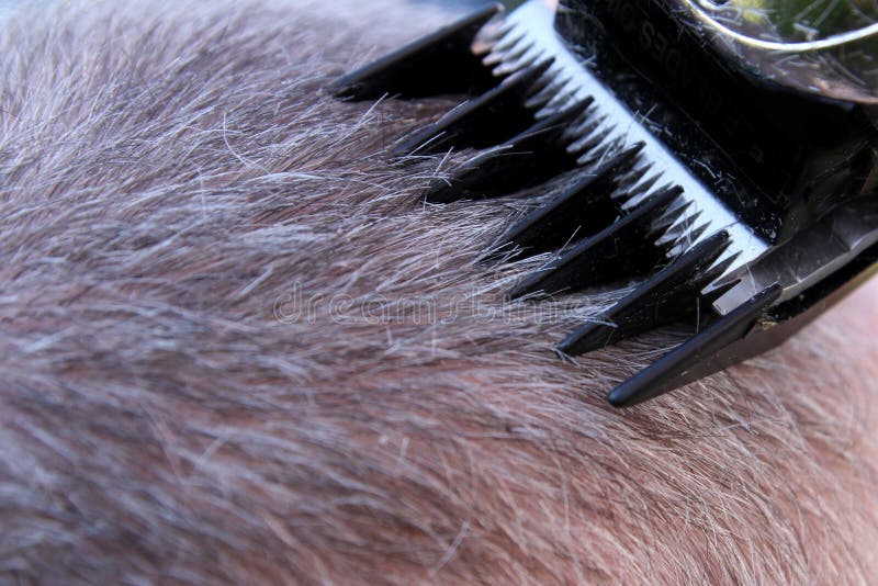 Shaving hair stock photo. Image of designer, bach, hair - 8571626