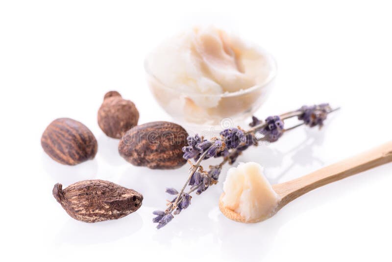 Shea butter and nuts stock image. Image of sheabutter - 80781563