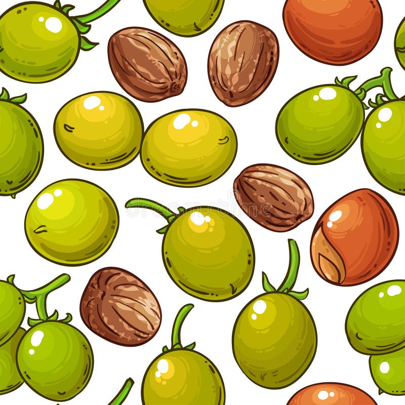 African Shea Butter Stock Illustrations – 87 African Shea Butter Stock ...