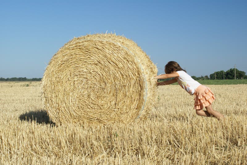 Sheaf Picture. Image: 2741098