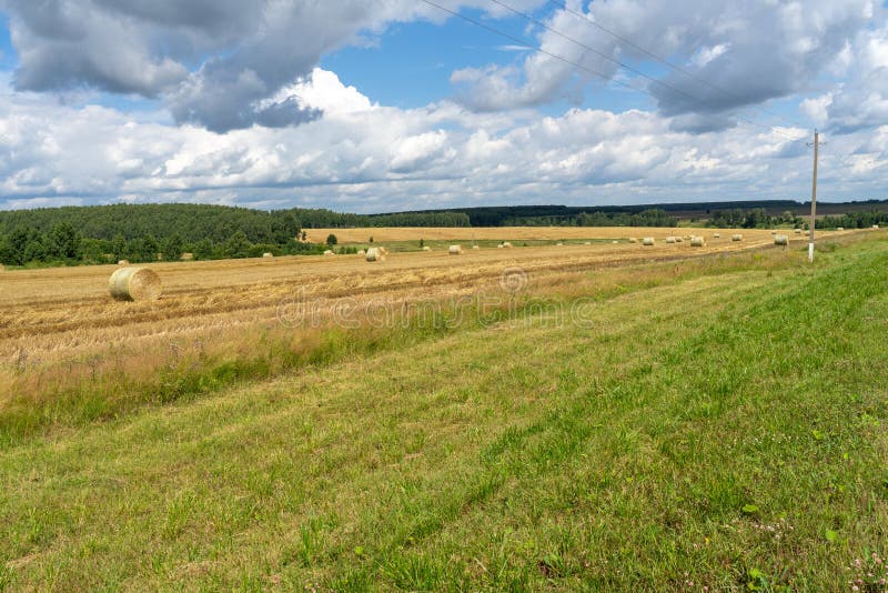 Sheaf of Straw in the Field Nobody Stock Image - Image of forage, grass ...