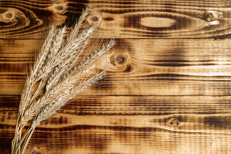 Wheat on table stock photo. Image of corn, stem, natural - 253218888