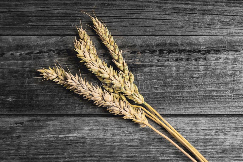Wheat on table stock photo. Image of food, farm, five - 253218896