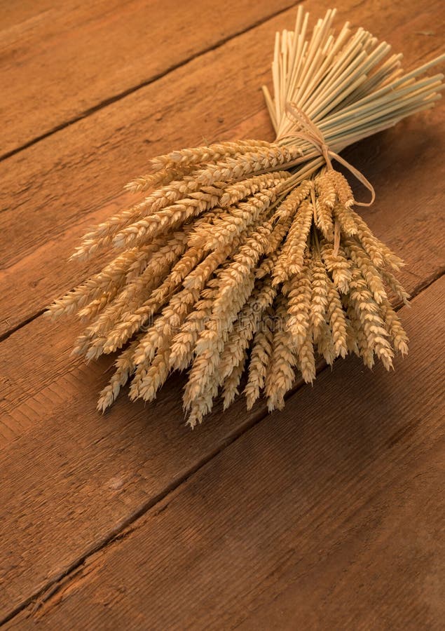 Sheaf of wheat stock image. Image of wood, agriculture - 57995453