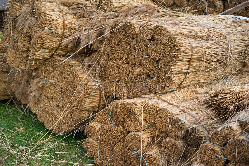 Sheafs of Straw on the Summer Grass Stock Photo - Image of meadow ...