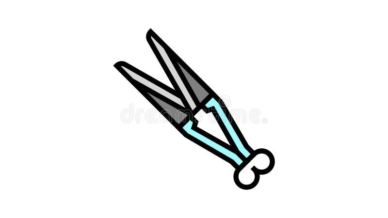 Shear Sheep Hand Tool Color Icon Animation Stock Footage - Video of ... Shear Sheep Hand Tool Color Icon Animation Stock Footage - Video of ...