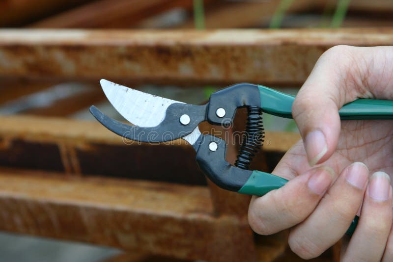 Shear tools stock image. Image of apriona, life, labor - 7672201